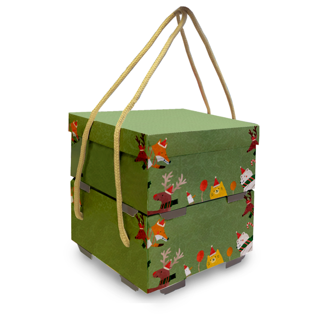 Customized Top and Bottom Boxes | Packaging Printing Solution