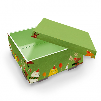 Top & Bottom Soft Box (2 Layer)